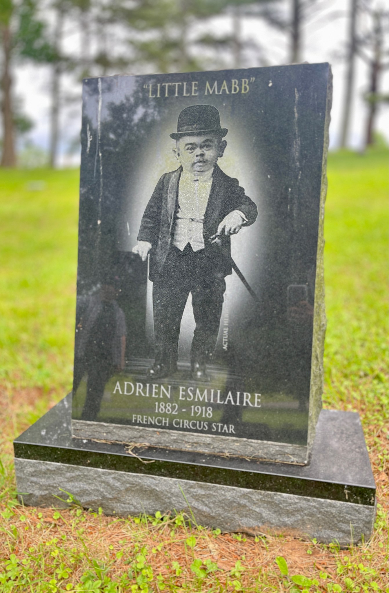 Westview cemetery in Atlanta, GA – Southern Cemetery